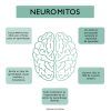 Qué son los neuromitos y porqué es importante que los conozcamos ...