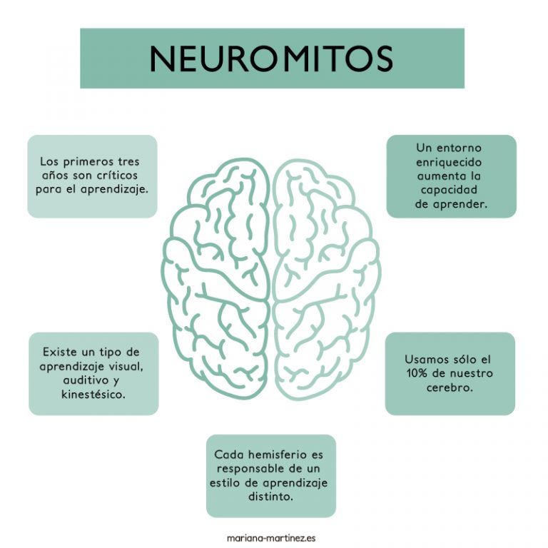 Qué son los neuromitos y porqué es importante que los conozcamos ...